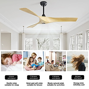 Sofucor 52" Ceiling Fan No Light, Modern Ceiling Fan with Remote Control, 3 Blades ABS Ceiling Fan with Noiseless Reversible DC Motor for Living room, Bedroom