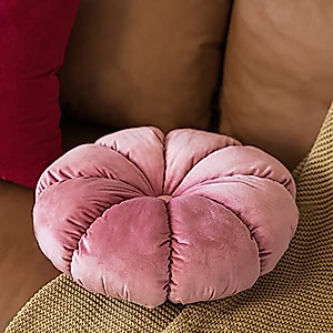 AOkaeii Round Floor Pillows Seating for Adults & Teen, Velvet Flower Shaped Throw Pillows, Aesthetic Decorative Meditation Cushion Pillows for Couch Chair Bed Car （Pink）