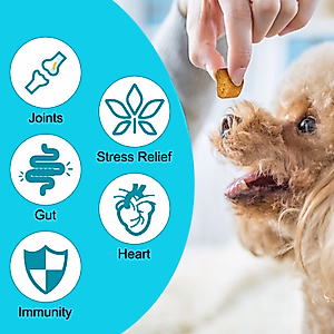 cgify Hemp Calming Chews for Dogs,150 Chews Hemp Dog Treats for Calming,Dog Anxiety Relief from Storms Barking Separation Thunder Travel,Golden Ratio Natural Ingredients,Peking Duck Flavor