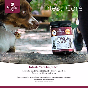 Arrowleaf Leaf Intesti Care by NaturPet Inc for Dogs & Cats | Natural Alternative to Chemical Wormers | Promotes a Healthy intestinal Tract | Contains Diatomaceous Earth | 165g