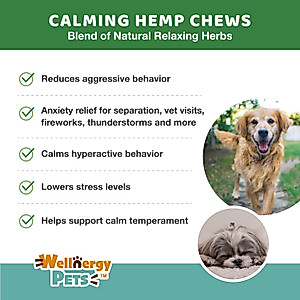 Wellnergy Natural Calming Chews for Dogs – Natural Organic Supplement- for Dogs with Stress, Separation Anxiety and Hyperactivity - 40ct Travel Pk