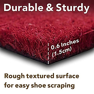 Bonletti Coir Door Mat with Attractive Bird Design for Outdoor Entrance - Cute 18"X30" Three Birds Doormat