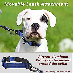 Ridge Ramblers Heavy Duty Dog Collars for Large Dogs. This Wide, Padded, Tactical Dog Collar has The Strength and Durability for Your Next Adventure. Perfect Large Dog Collars for Males or Females