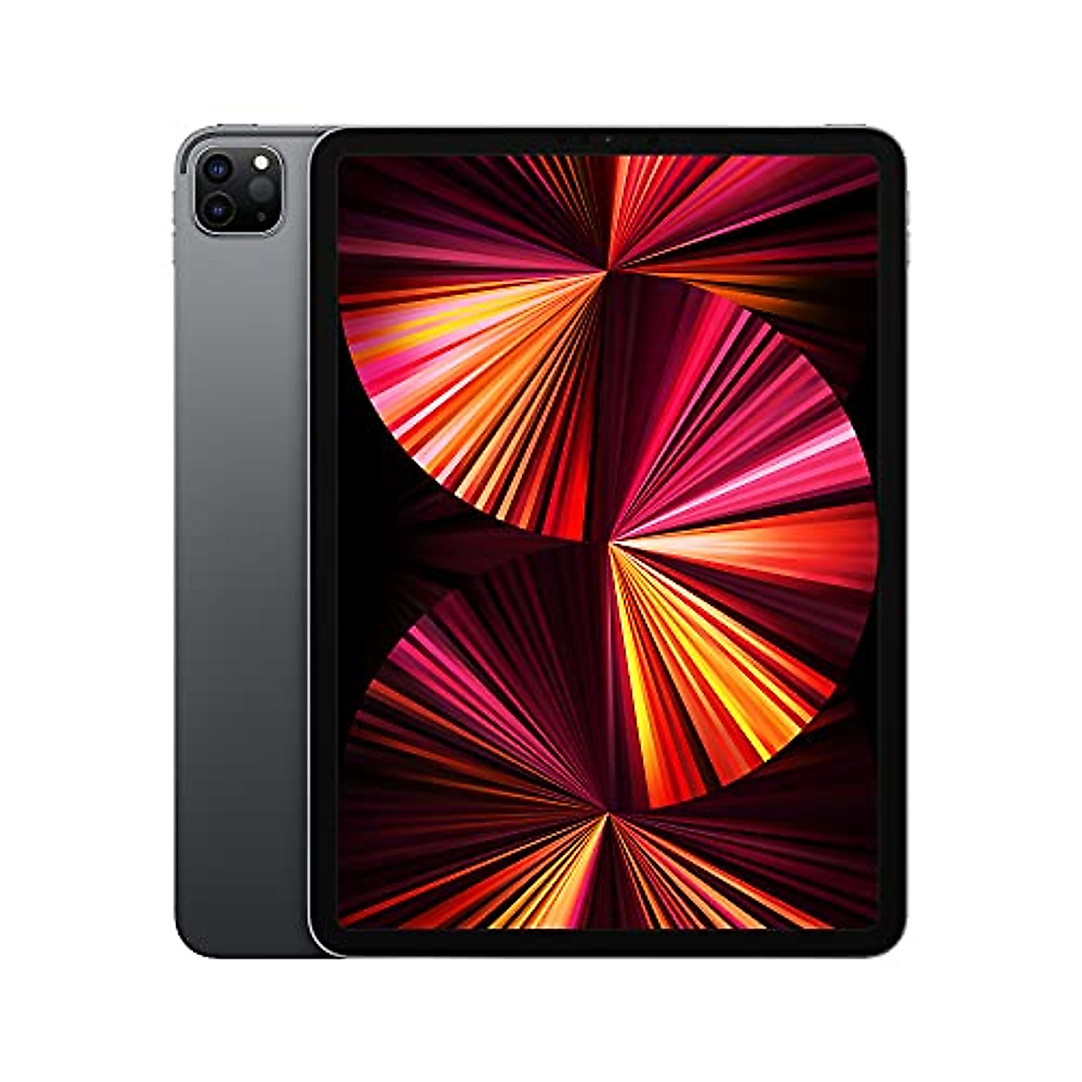 2021 Apple 11-inch iPad Pro (Wi-Fi, 2TB) - Space Gray