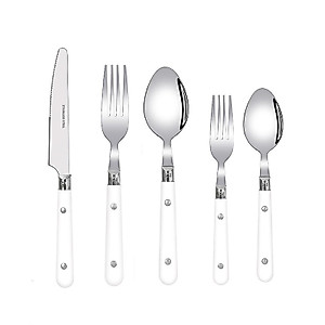SENIDIKE 5/20/30-Piece Thickened Stainless Steel Silverware Flatware Cutlery Set Service for 1/4/6, Steak Knife And Fork Spoon Dessert Tea Spoon Fruit Fork, Durable Reusable White Blue Green Red