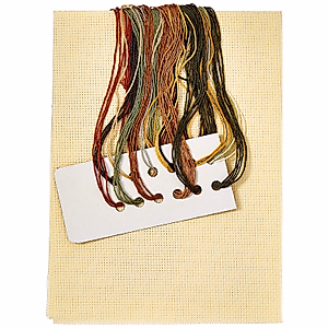 Janlynn 50222 Counted Cross Stitch Kit 7.75"X11.25", Joy in The Journey (14 Count), Blue