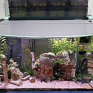 hygger 6.2-Inch Long Aquarium Bio Media Ceramic Filter Media Blocks for Sump Tank Pond Saltwater Aquarium Fish Tank Biological Media (7.9 lbs,40-Pack)