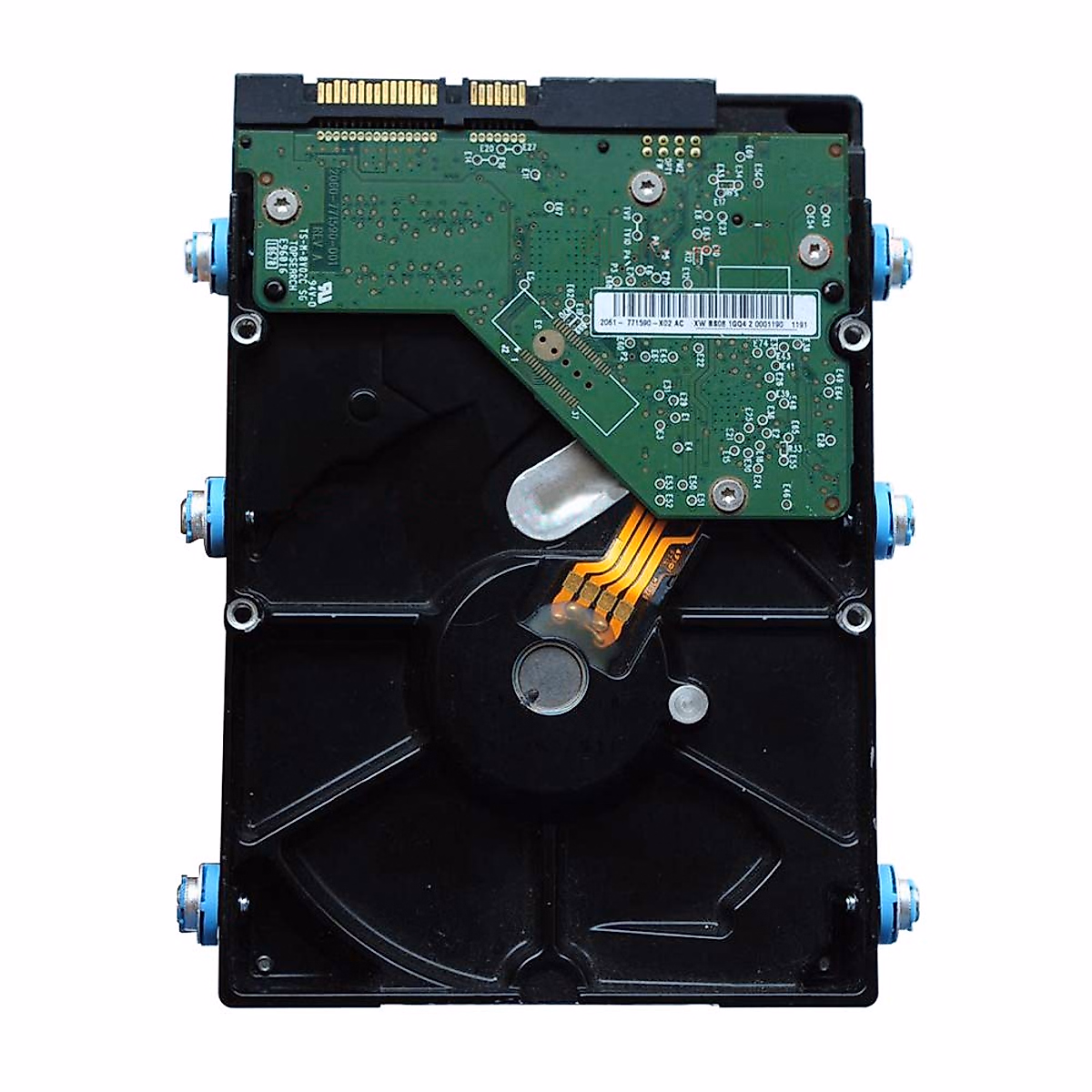 Bfenown 8X HDD Hard Drive Mounting Screw for HP Prodesk 600 G1 G2 SFF,6000 6005 6200 6300 Pro,8000 8100 8200 8300 Elite DC7800 7900 5800,Workstation Z400 Z200 Z210 Z600 450712-001 (3.5'')