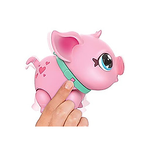 Little Live Pets - My Pet Pig: Piggly | Soft and Jiggly Interactive Toy Pig That Walks, Dances and Nuzzles. 20+ Sounds & Reactions. Batteries Included. for Kids Ages 4+