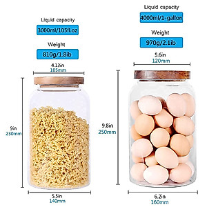 SAIOOL Modern Design Transparent Two-pieces glass jars, jars with lids, Includes 1 Gallon Large Glass Food Storage Jars and 100FL OZ (3000ml)