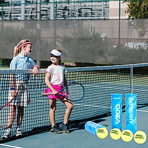 ODEA Passion Tennis Balls,High-Elasticity,Extra Duty for Tennis Training or Competition,ITF Approved Tennis Balls for Adult Competition (1)