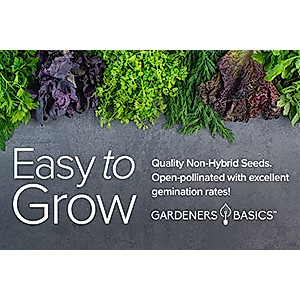 Power Greens Seeds for Planting Individual Packets 5 Variety Pack - Arugula, Spinach, Swiss Chard, Kale, Cabbage Seeds for Your Heirloom Salad, Winter, Fall and Cool Weather Garden by Gardeners Basics