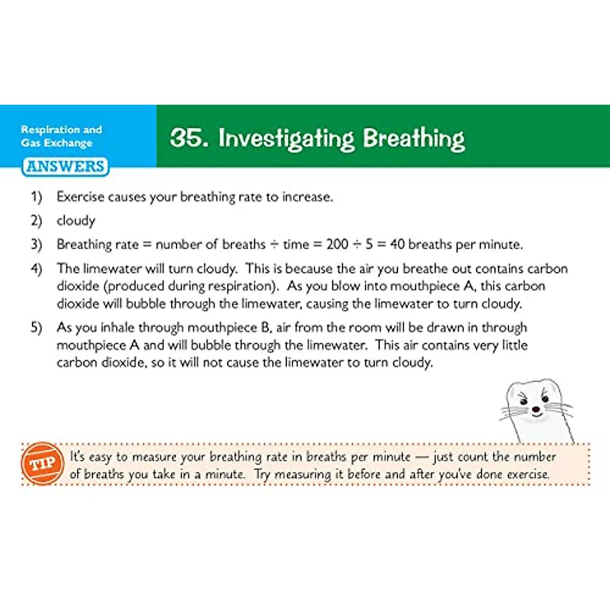 New Grade 9-1 Edexcel International GCSE Biology: Revision Question Cards (CGP IGCSE 9-1 Revision)