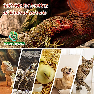 REPTI HOME 75W Ceramic Heat Emitter (2 Pack), Reptile Heat Lamp Bulbs, Ceramic Heater for Amphibian, Pet Brooder Coop, Chicken, Dog, Cat