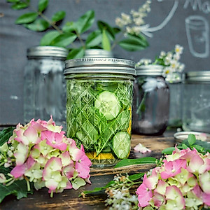 SKOCHE Mason Jars 8 oz 24 Pack Canning Jars with Airtight Lids and Bands, Ideal for Fermenting, Pickling, DIY Decors, Fruit Preserves, Jam or Jelly, 24 Labels Included