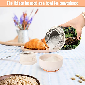 JUNZAN House Green Kids Womens Lunch Insulated Jar with Spoon 17oz/500ml Container To Keep Food Hot Stainless Steel Vacuum Food Warmer Food Storage for Keep Food Warm