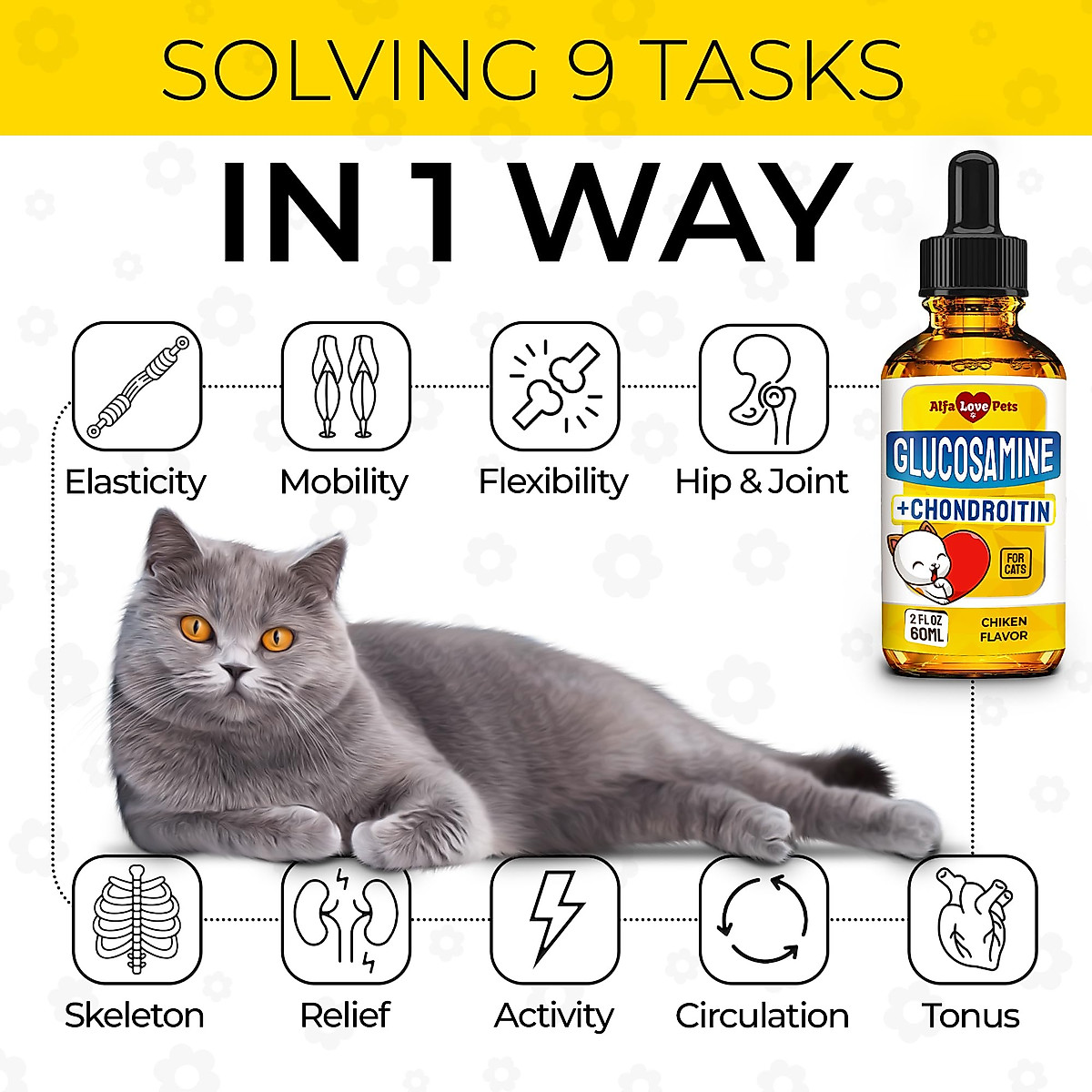 Cat Joint Supplement ✿ Cat Glucosamine ✿ Glucosamine Chondroitin MSM ✿ Joint Supplement for Cats ✿ Glucosamine for Cats ✿ Glucosamine Chondroitin for Cats ✿ Cat Hip and Joint Supplements ✿ 3 Packs