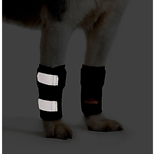 NeoAlly Dog Braces Front Leg Carpal Support Canine Wrist Braces with Safety Reflective Straps for Limping, Joint Pain, Lameness, and Loss of Stability from Arthritis (S/M Pair)