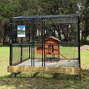 uyoyous 6'' x 2'' Caster Wheel Heavy Duty 4 Pack Cart Swivel Wheels Load 1760 lbs Silent Ball Bearing Solid Wheel with 360° Rotation Top Plate (2 with Brakes& 2 Without)