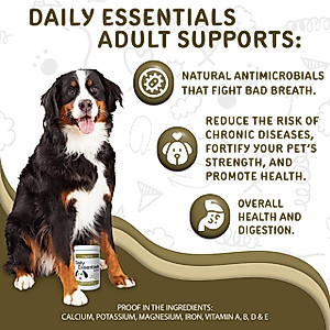 waggedy Daily Essentials Adult Soft Chews — Dog Multivitamin & Immune System Supporter — Dog Nutritional Supplement — Small/Large Dog Supplements & Vitamins (60 Chews)