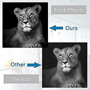 1 Pack DR223CL Drum Unit Black Compatible Replacement for Brother MFC-L3770CDW MFC-L3710CW MFC-L3750CDW MFC-L3730CDW HL-3210CWHL-3230CDW HL-3270CDW Printers Toner.