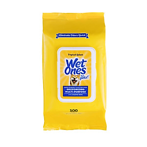 Wet Ones for Pets Desmellizing Multi-Purpose Dog Wipes with Baking Soda Dog Desmellizing Wipes for All Dogs in Tropical Splash Scent, Wet Ones Wipes for Desmellizing Dogs| Hundred Ct Pouch Dog Wipes