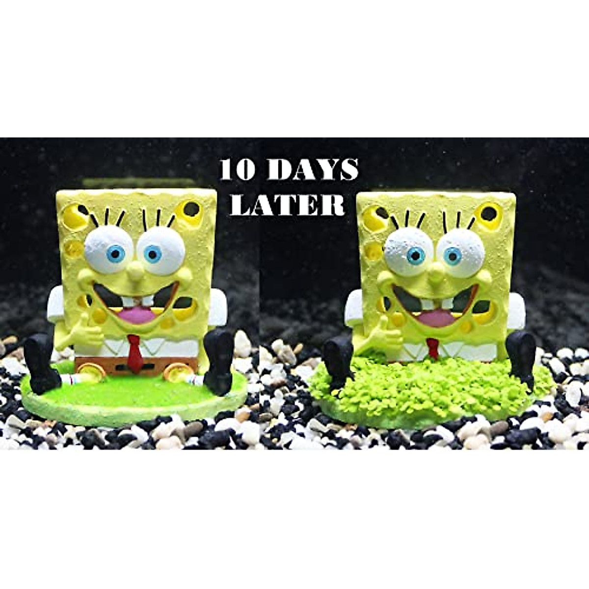 Penn-Plax Spongebob Squarepants Aqua-Flora Living Aquarium Decoration with Embedded Glosso Plant Seeds – Spongebob