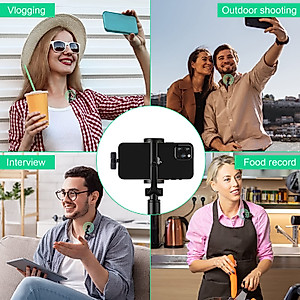 ERNSITNG Wireless Lavalier Microphone for iPhone iPad, Plug&Play Auto-syncs Clip-on Mini Mic for YouTube,TikTok,Facebook,Live,Zoom Video Recording,Noise Reduction(NO APP or Bluetooth Needed)