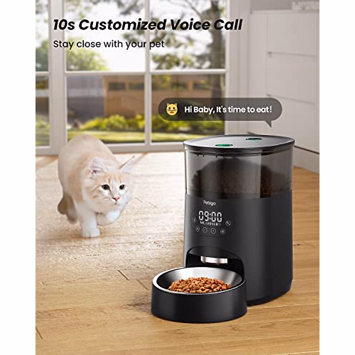 Petiigo Automatic Cat Feeder, 4L Timed BPA Free Cat Feeder Clog-Free Design for Pet Dry Food with Stainless Steel Bowl, Twist Lock Lid&Voice Recorder, Programmable Control 1-5 Meals Day for Cats/Dogs