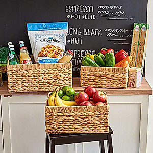 EZOWare Set of 3 Natural Water Hyacinth Wicker Baskets, Environmental Friendly Natural Storage Organizer Nesting Boxes with Handle - Mixed Size (1 Large, 1 Medium, 1 Small)