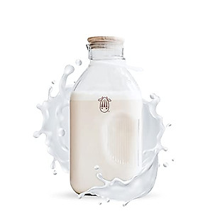 Almond Cow - Glass Pitcher with Lid and Spout, Bottle for Refrigerator, Clear Milk Jug , Food-Grade Glass Liquid Container, 60 fl oz Capacity, 5 x 4 x 10 Inches