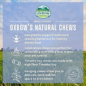 Oxbow Animal Health Enriched Life Apple Stick Bouquet, 0.12 lb.