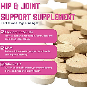 Pet Glucosamine Chondroitin MSM Joint Supplement for Dogs & Cats, Hip & Joint Pain Relief Tablets with Vitamin C, A & D3, 150 Tablets