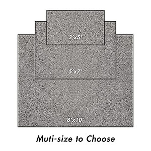 Solid Shag Rug 3x5 Rugs for Living Room Large Area Rug Machine Washable Area Rugs, Ideal for Carpet Floor Use