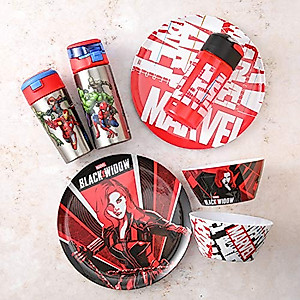 Zak Designs Marvel Comics Durable Single Wall Stainless Steel Water Bottle with Push-Button Flip Lid Leak-Proof Design is Perfect for Outdoor Sports (19.5oz, BPA Free), 19.5 oz, Avengers