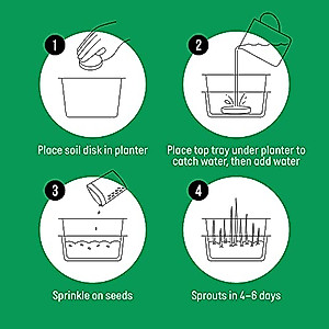 The Cat Ladies Cat Grass Growing Kit -Organic Seed, Soil and BPA Free containers (Non GMO).Locally sourced Seeds! (3 Pack)