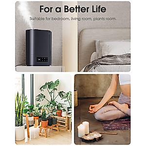 Humidifiers for Bedroom, 6L Top Fill Cool Mist Humidifiers for Large Room for Plants,TABYIK Air humidifier with Humidistat and Timer, with Essential Oil Diffuser Quiet for Home Black