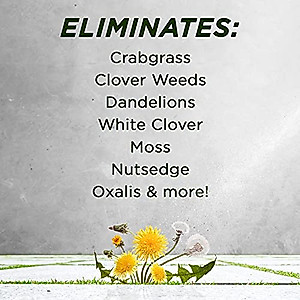 Green Gobbler 20% Vinegar Weed & Grass Killer | Natural & Organic | Concentrated | 1 Gallon Spray | Glyphosate Free Herbicide