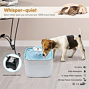 Pet Fountain Cat Water Dispenser - Healthy and Hygienic Drinking Fountain Super Quiet Flower Automatic Electric Water Bowl with 2 Replacement Filters for Cats, Dogs, Birds and Small Animals