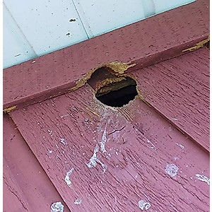 Bird Banisher Woodpecker Deterrent & Bird Scare Device