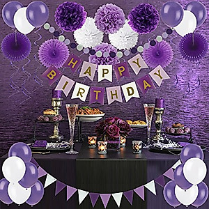 ZERODECO Birthday Decoration Set, Happy Birthday Banner Bunting with 4 Paper Fans Tissue 6 Paper Pom Poms Flower 10 Hanging Swirl and 20 Balloon for Birthday Party Decorations - Purple Lavender White