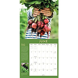 The Year-Round Vegetable Gardener Wall Calendar 2023: Expert Advice for Growing Your Own Food 365 Days a Year