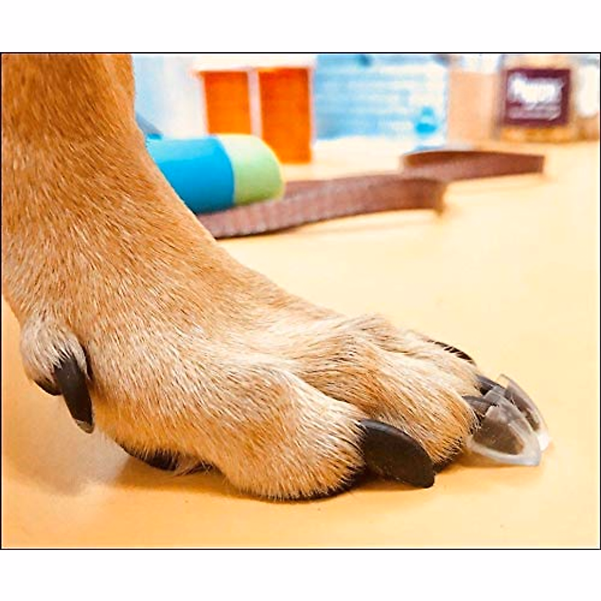 Dr. McHenry's Dog Toe Treads, Set of 24, Adhesive, Cleaning Brush, Increased Traction, Dog Mobility Support, X-Large Kit- Weight: 60-150 lbs. Net Weight 1.6 oz.