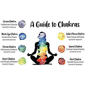 Lotus and Luna 4MM Energy Chakra Healing Bracelet with Real Stones Jade, Pearl, Rose Quartz, Amethyst, Moonstone (Master Healer)