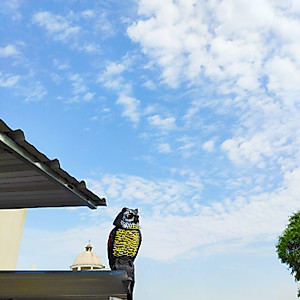 CLEYCYE Fake Owl Scarecrow Sculpture with Rotating Head for Outdoor Garden Yards