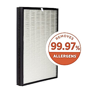 AprilAire RF09550A Allergy True HEPA Air Purifier Replacement Filter for AprilAire Room Air Purifier Model 9550, Captures Allergens & Odors, Ozone