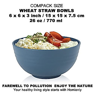 Homienly Cereal Bowl Set, Wheat Straw Fiber Unbreakable Lightweight Bowls Set (Multi, 26 OZ)