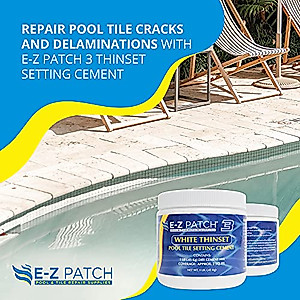 E-Z Patch 3 Pool Tile Thinset Cement for Repairs - Color Adjustable Pool Tile Adhesive (1 lb)
