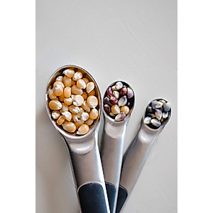 Amish Country Popcorn | 3-1 lb Bags | Variety Set | Midnight Blue, Rainbow, & Medium Yellow Popcorn Kernels | Old Fashioned, Non-GMO and Gluten Free (3-1 lb Bags)