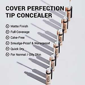 THE SAEM Cover Perfection Tip Concealer, Liquid Multi-Use Concealer, Full Coverage Makeup for Acne Dark Spots Dark Circles Hyperpigmentation and Blemishes, 0.2 fl.oz. (#2 Rich Beige)